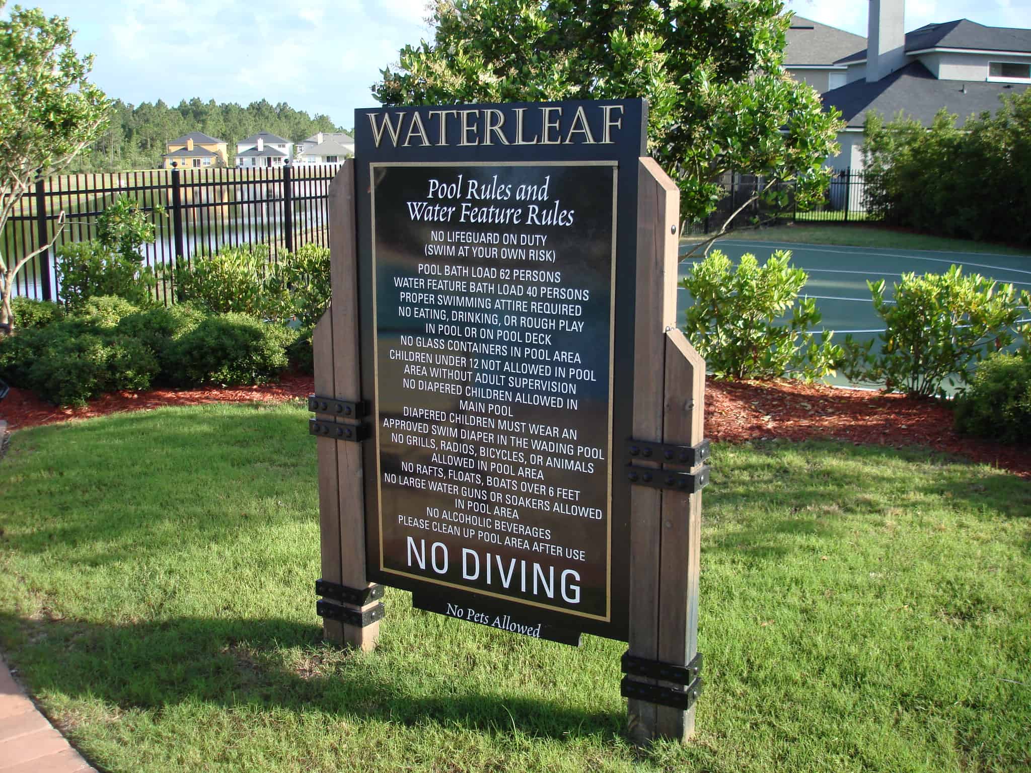 Waterleaf Basham Lucas